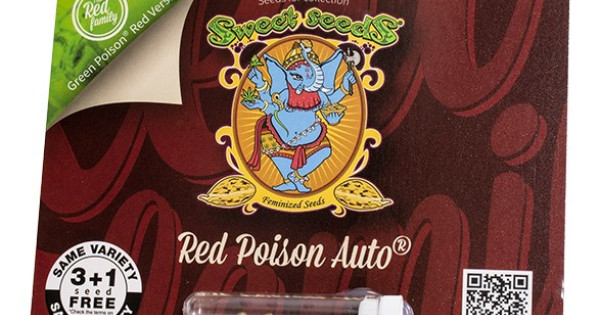 Red Poison Auto (3 semena + 1 gratis), Sweet Seeds